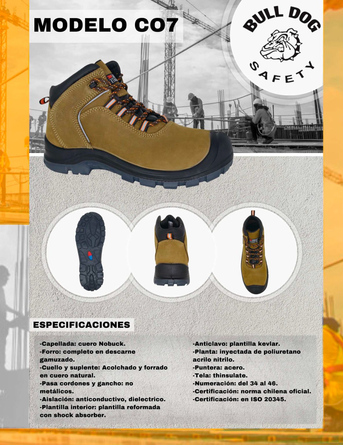 MODELO CO7 – Cofaseg
