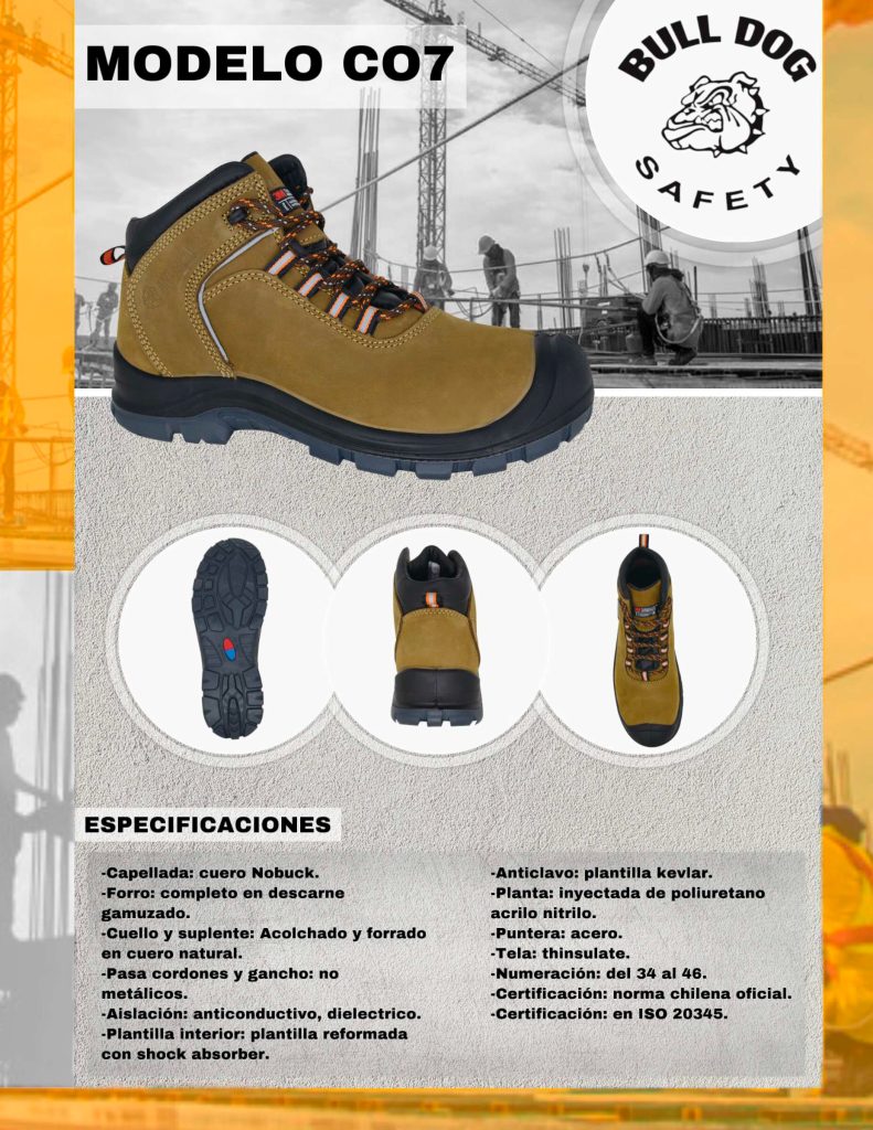 MODELO CO7 – Cofaseg